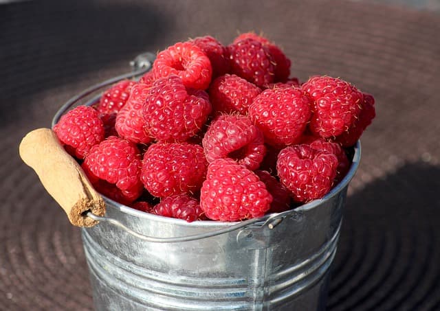 How Long Do Raspberries Last In The Fridge? Storage, Shelf Life, Expiration