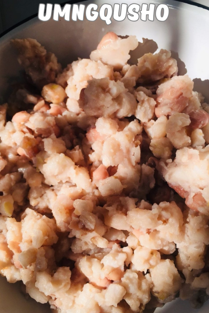 25 Classic South African Dinner Recipes - Justforfruits