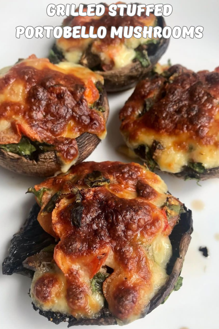 25 Quick Grill Dinner Recipes - Justforfruits