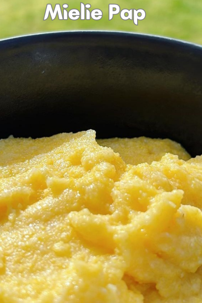 25 Classic South African Dinner Recipes - Justforfruits