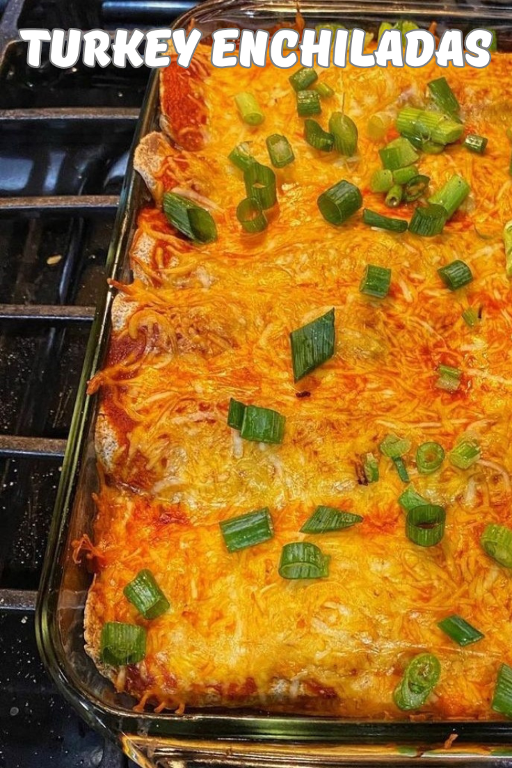 25 Easy Turkey Dinner Recipes - Justforfruits